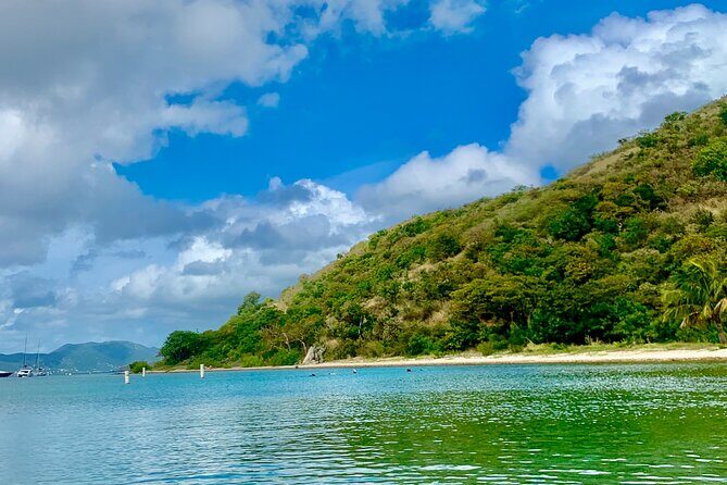 Family Snorkel Safari. Private boat! - Why This Tour Offers Great Value