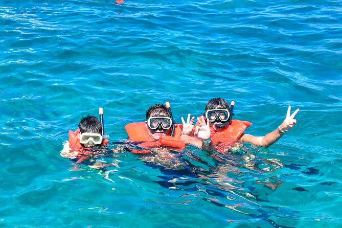 Family Snorkeling Adventure Punta Cana - Snorkeling at Bavaro Beach: What You’ll See