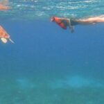 Family Snorkeling Tour - Who Should Consider This Tour?