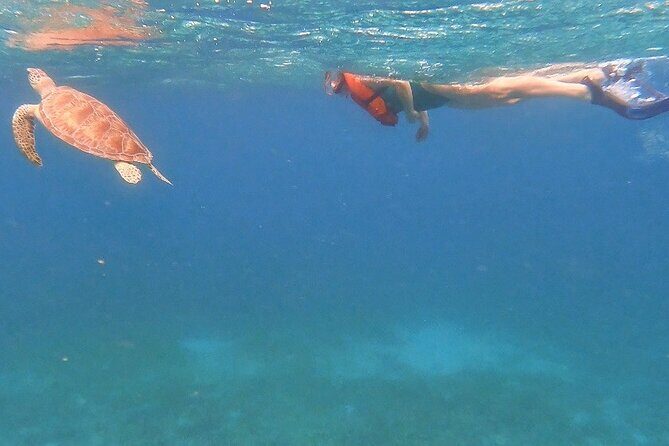 Family Snorkeling Tour - Who Should Consider This Tour?