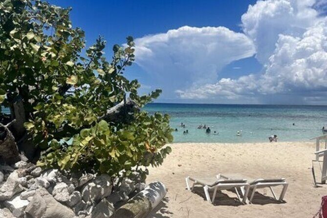 Fantastic Catalina island, beach and depth - Who Will Love This Tour?