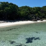 FANTASTIC Green Island and Sea Turtles - Half Day share boat trip - What’s Included: A Thoughtfully Curated Package