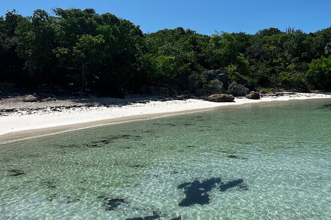 FANTASTIC Green Island and Sea Turtles - Half Day share boat trip - What’s Included: A Thoughtfully Curated Package