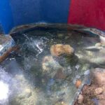 Fire Water Historical Tour Adventure In St Ann Jamaica - Practical Tips for Travelers