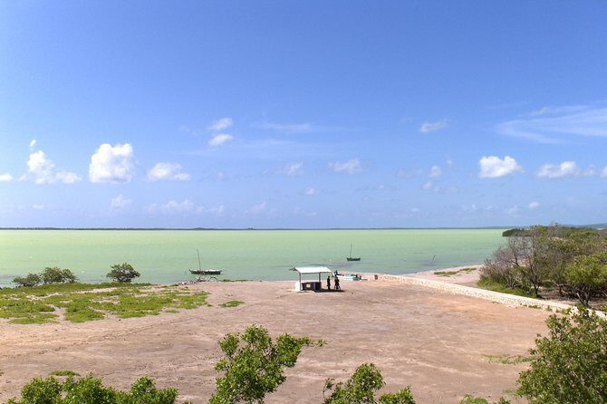 Flamingo Island - Laguna Oviedo - An In-Depth Look at the Experience