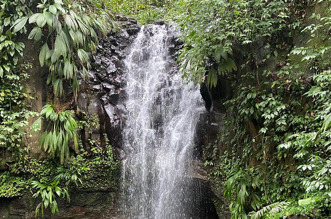 Flavors of Grenada - Who Will Benefit Most from This Tour?