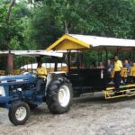 Flavors of Jamaica Food Tour from Ocho Rios - FAQ