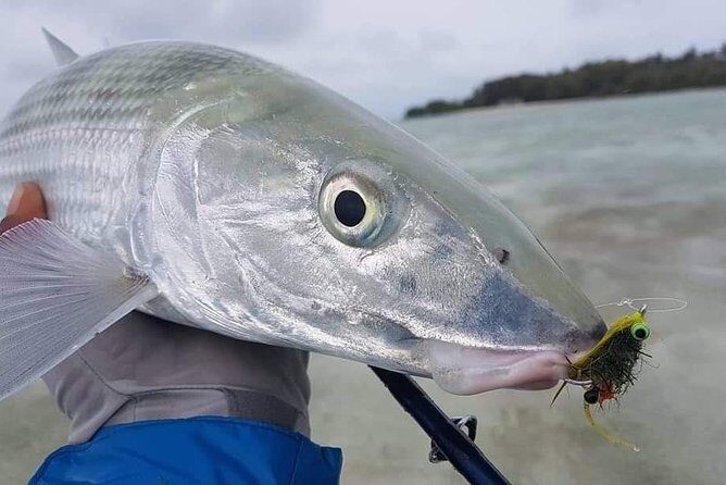 Fly Fishing Tour - Who Would Enjoy This Tour?