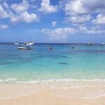 Folkestone Coral Reef Clear Kayak Tour - Who Will Love This Tour?