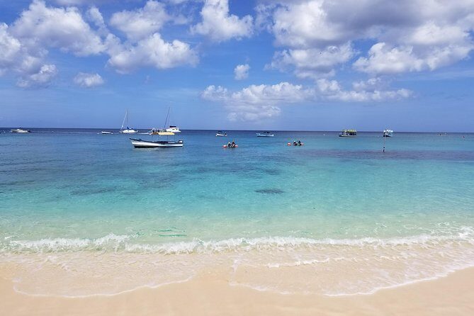 Folkestone Coral Reef Clear Kayak Tour - Who Will Love This Tour?
