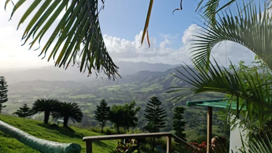 for Small Groups Half-Day Tour to Montaña Redonda - The Value of This Tour