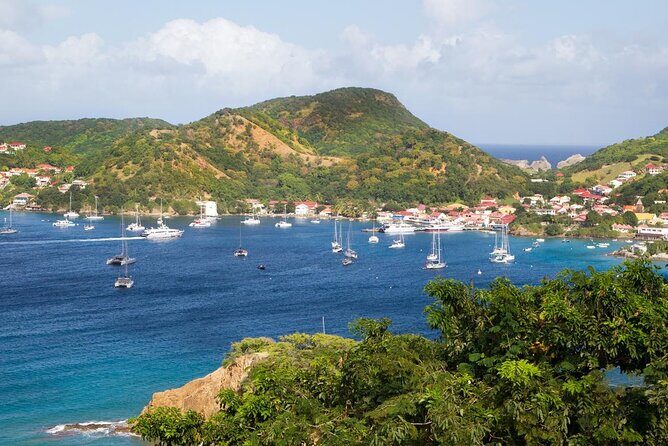 Fort-de-France Private 2-Hour Walking Tour - Who Should Book This Tour?