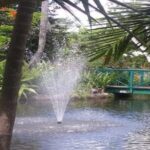 Freeport Shore Excursion: Garden of the Groves and City Tour - What You Can Expect from the Tour