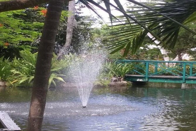 Freeport Shore Excursion: Garden of the Groves and City Tour - What You Can Expect from the Tour