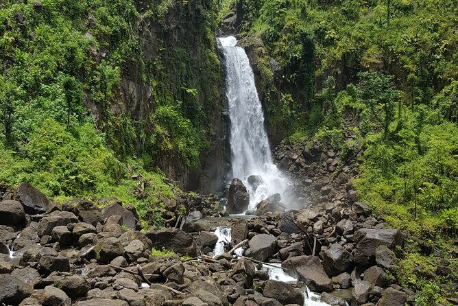 Freshwater Lake Titou Gorge Waterfalls and Sulphur Spa Adventure - Titou Gorge: A Unique Swimming Experience