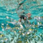 From Bavaro, Punta Cana: Boat Party, Snorkeling, Drinks, Snacks, and Transportation - What to Expect on the Tour