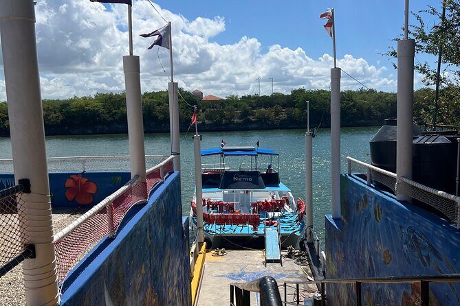 From Bayahibe - Half Day Exploring Catalina Island with snorkel - The Value of the Tour