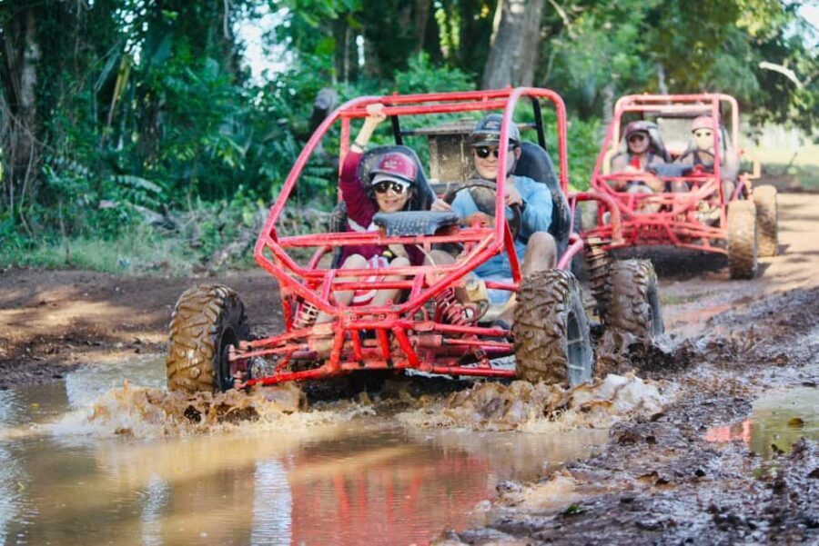From Bayahibe-La Romana : buggy ATV/Quad 4X4 Half-Day - What to Expect on Your Half-Day Adventure