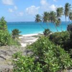From Bridgetown: Barbados Coast To Coast Half-Day Tour - The Guide and Group Experience
