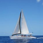 From Castries: Full-Day Catamaran Tour to Soufriere - Exploring Soufrière and Its Natural Wonders