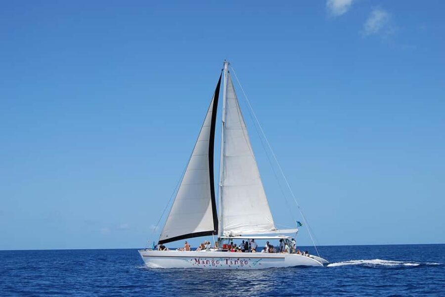 From Castries: Full-Day Catamaran Tour to Soufriere - Exploring Soufrière and Its Natural Wonders