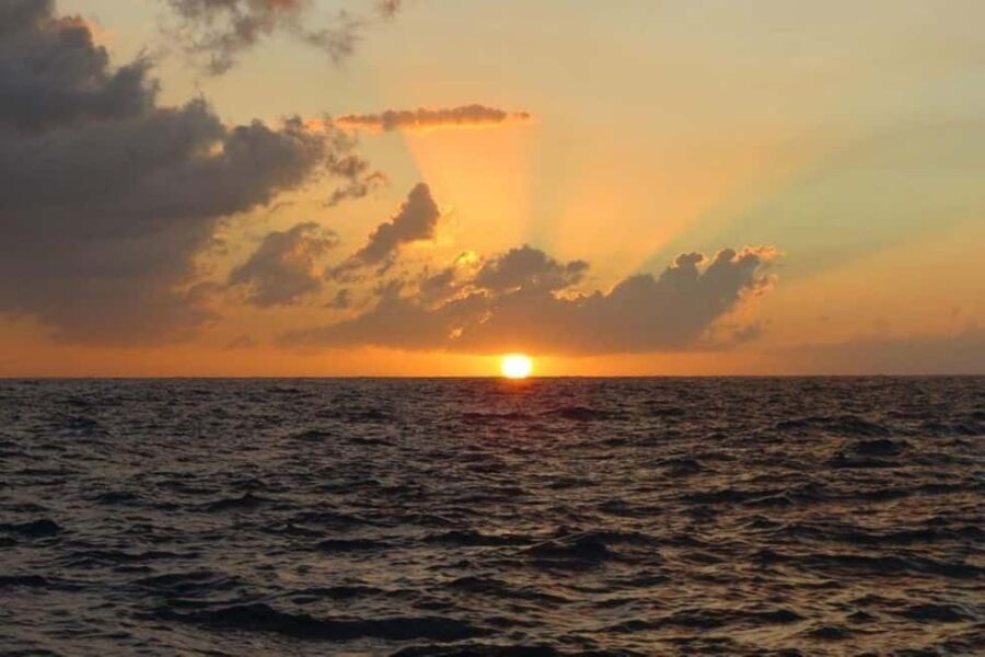 From Falmouth: Seven Mile Beach, Margaritaville & Ricks Cafe - The Value of the Tour