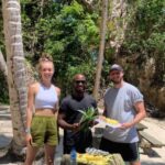 From Las Terrenas: Guided Tour of Los Haitises National Park - The Experience: What You Can Expect