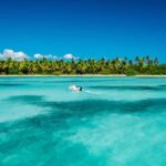 From miches: Isla Catalina Snorkeling Tour with Lunch - Why This Tour Stands Out