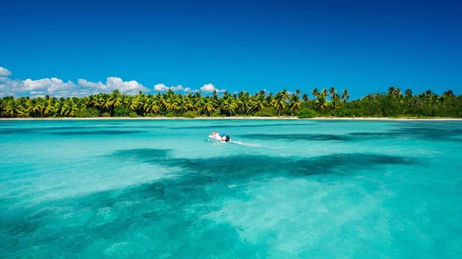 From miches: Isla Catalina Snorkeling Tour with Lunch - Why This Tour Stands Out