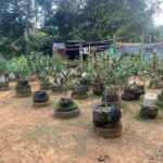 From Montego Bay: 3-Hour ATV Safari Adventure Ride - Deep Dive into the Experience