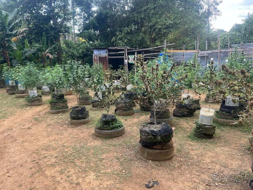 From Montego Bay: 3-Hour ATV Safari Adventure Ride - Deep Dive into the Experience