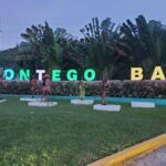 From Montego Bay: Bamboo Rafting & Limestone Massage Tour - Detailed Breakdown of the Itinerary