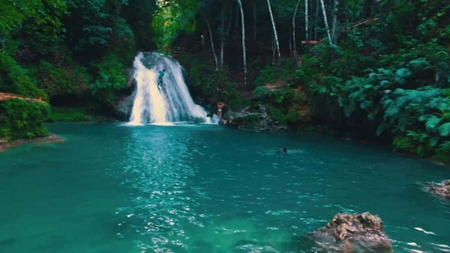 From Montego Bay: Blue Hole Falls Daytrip - Analyzing the Value