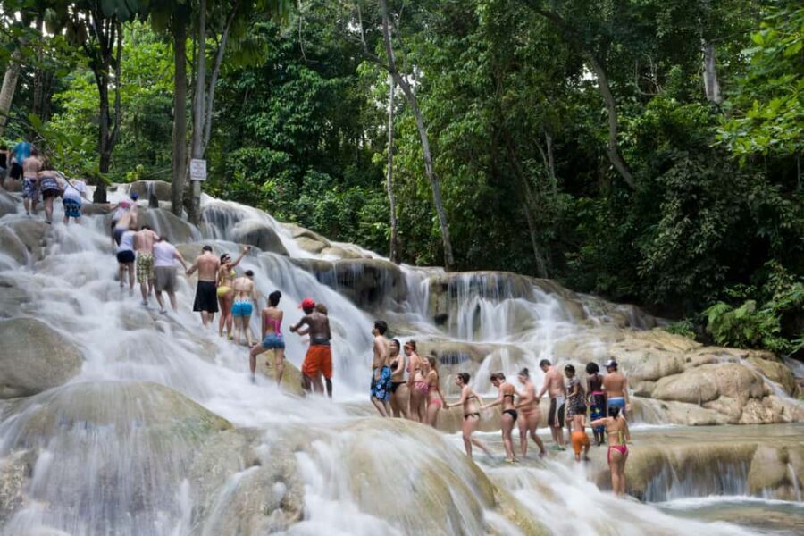 From Montego Bay: Dunns River Falls Experience - Exploring Dunn’s River Falls and Park