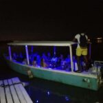 From Montego Bay: Luminous Lagoon Boat Tour with Transfer - Analyzing the Value and Practicalities