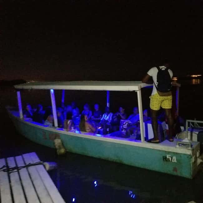 From Montego Bay: Luminous Lagoon Boat Tour with Transfer - Analyzing the Value and Practicalities