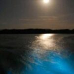 From Montego Bay: Luminous Lagoon Nighttime Boat Tour - Transportation and Duration