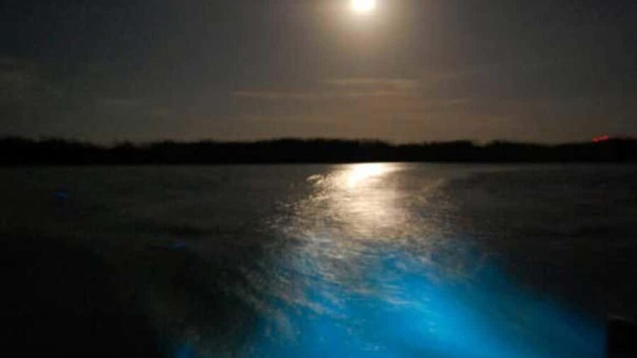 From Montego Bay: Luminous Lagoon Nighttime Boat Tour - Transportation and Duration