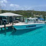 From Nassau: Exuma Powerboat Tour and Pig Beach with Lunch - What Makes This Tour Stand Out