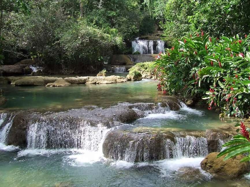From Negril: YS Falls and the Pelican Bar - Who Will Love This Tour?