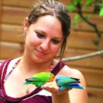 From Port Antonio: Off Road Vehicle Adventure Tour - What Makes This Tour Stand Out