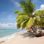 From Punta Cana: Catamaran Tour to Saona Island with Open Bar and Buffet - Why This Tour Works for Travelers