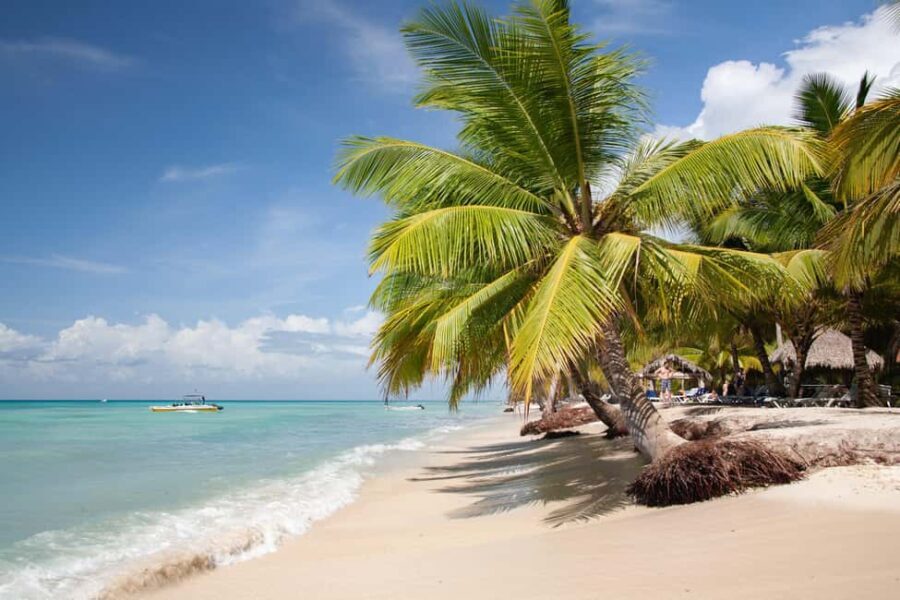 From Punta Cana: Catamaran Tour to Saona Island with Open Bar and Buffet - Why This Tour Works for Travelers