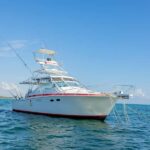 From Punta Cana: Deep Sea Fishing Tour by Boat with Drinks - Who Should Consider This Tour?