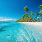 From Punta Cana: Exclusive Catalina Island Tour with Transportation and Lunch - What’s Good—and What’s Not