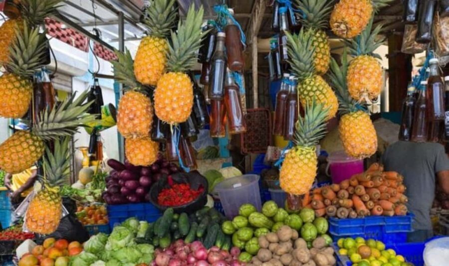 From Punta Cana: History and Culture Tour with River Swim - The Value and Practicalities