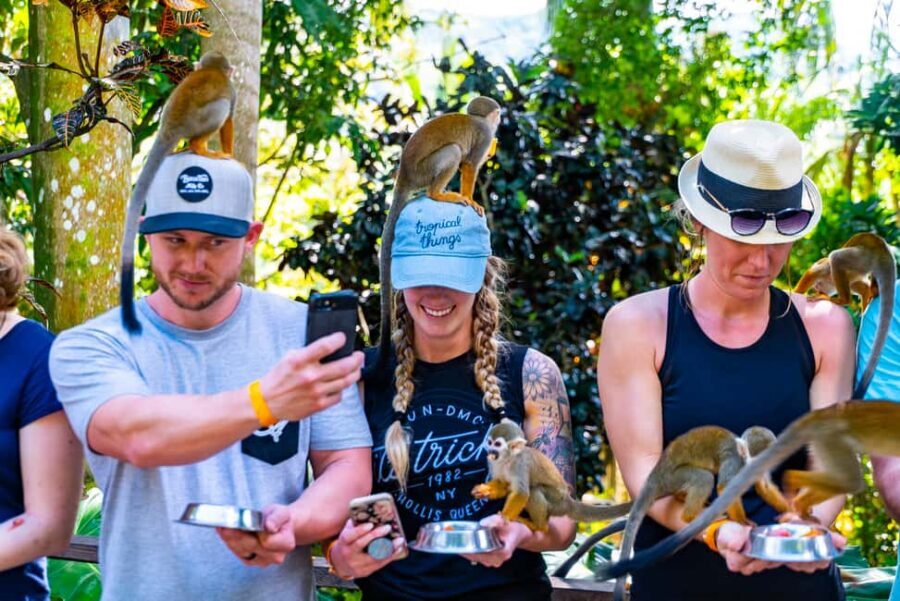 From Punta Cana: Jungle Buggy Ride & Monkeyland Guided Tour - The Sum Up