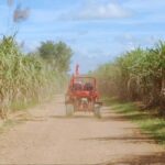 From Punta Cana or La Romana: Sugarcane Fields Buggy or Quad - Final Thoughts