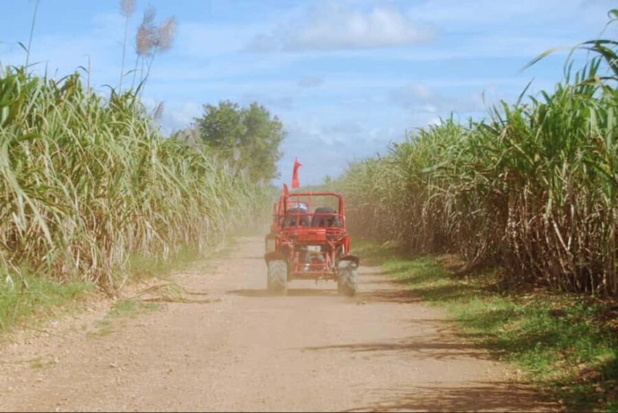 From Punta Cana or La Romana: Sugarcane Fields Buggy or Quad - Final Thoughts