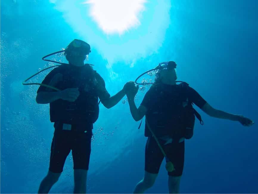 From Punta Cana: Private Catamaran Catalina Island Full-Day - Practical Details & What to Know